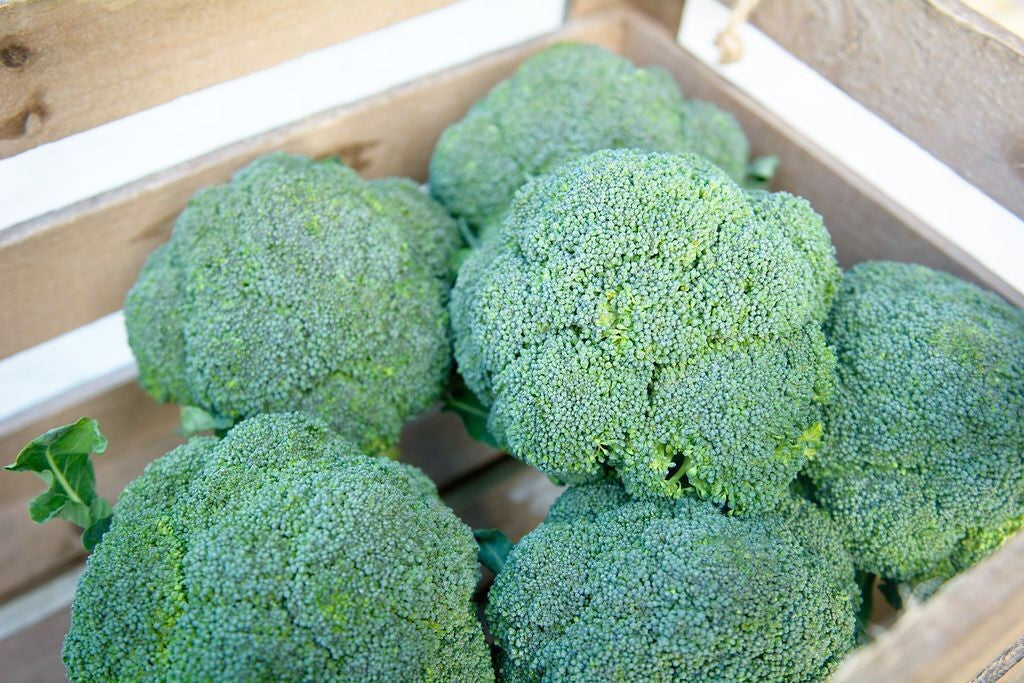 Broccoli – Castle Farm Fresh Produce