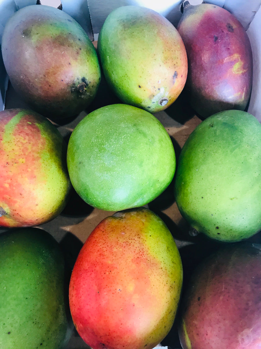 Mango – Castle Farm Fresh Produce